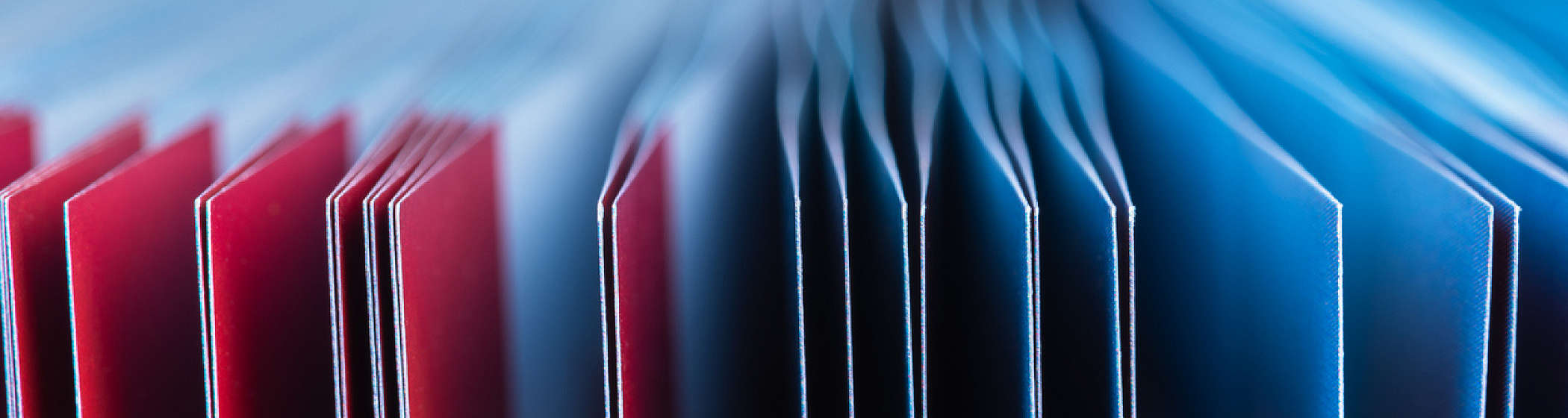 Choose Your Own Respondent in General Protections Dismissal… | Swaab